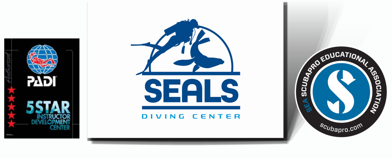 Σχολή κατάδυσης- Μάθε κατάδυση με το Seals Diving Center - Seals Diving ...